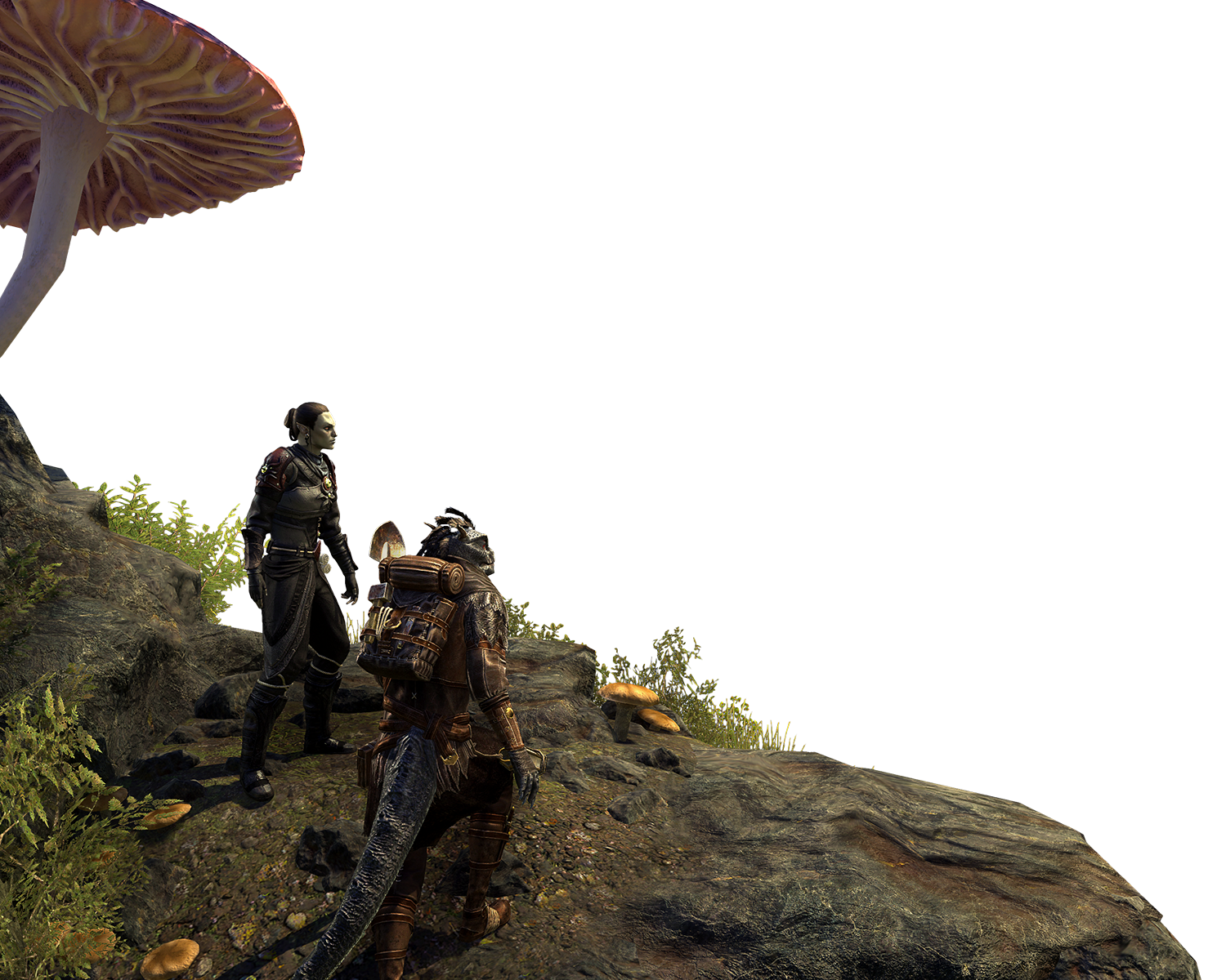 Discover ESO - The Elder Scrolls Online